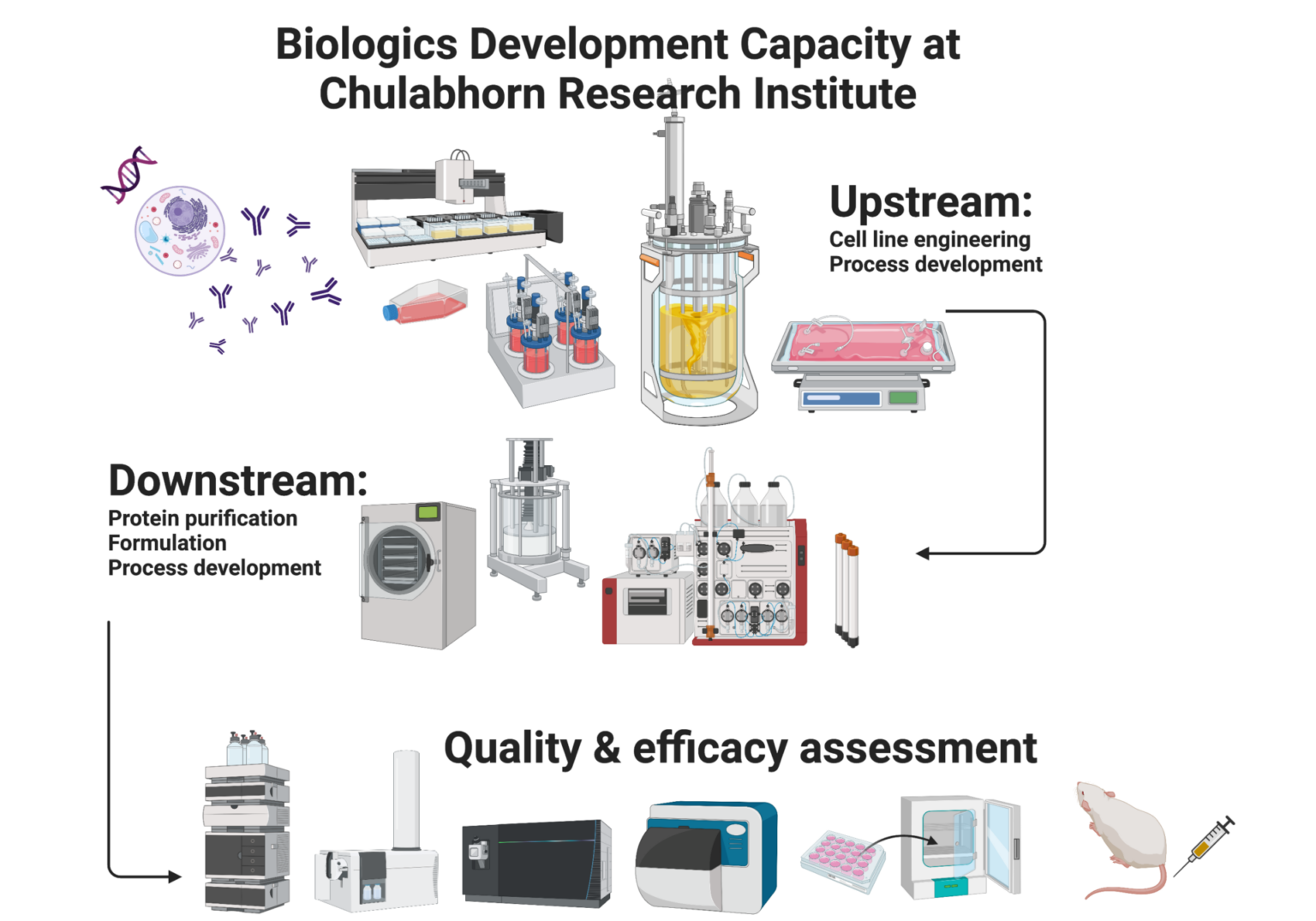 Biopharmaceutical drug development - Chulabhorn Research Institute