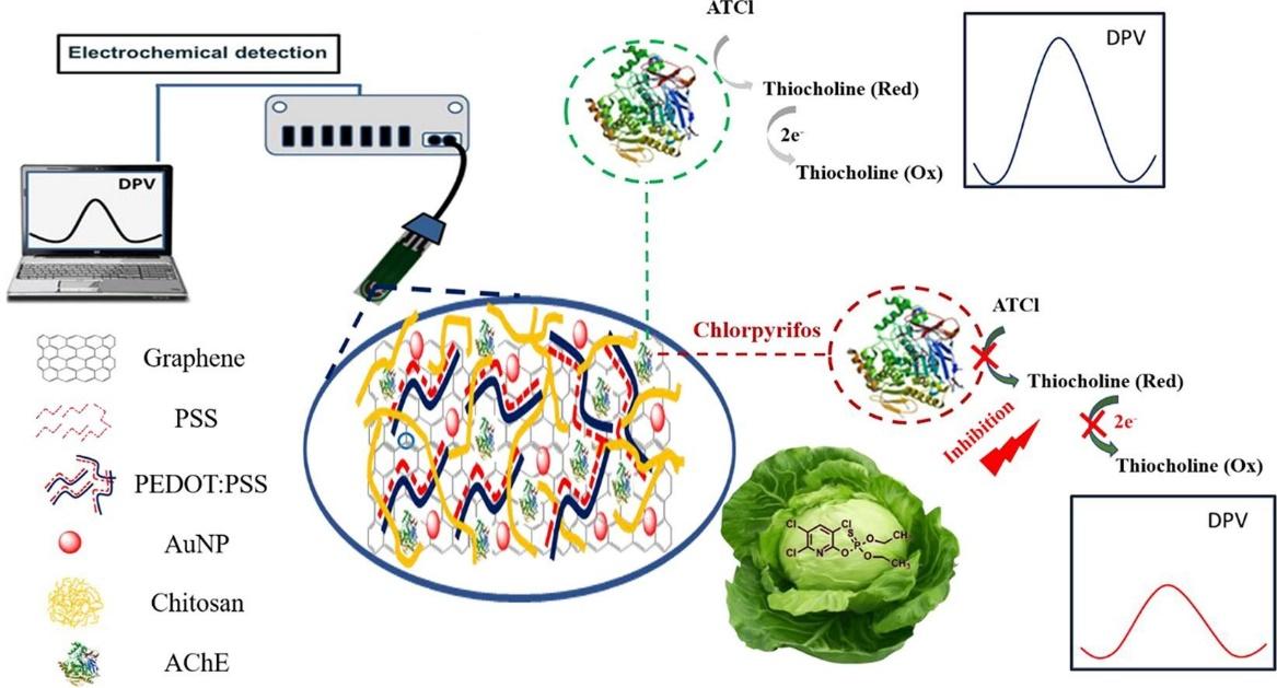 Graphical Abstract - Organic Synthesis - Chulabhorn Research Institute