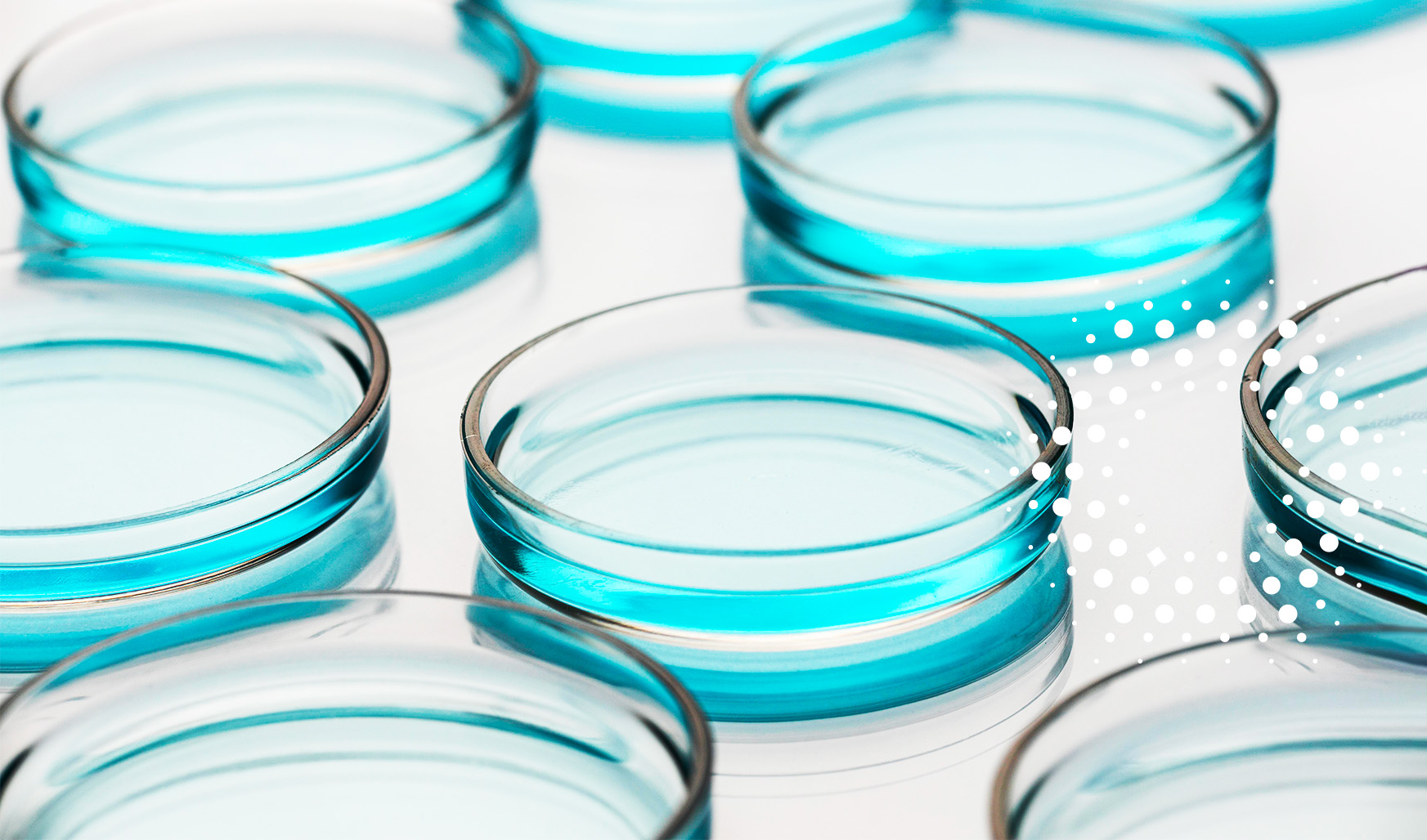 Translational Research - Chulabhorn Research Institute