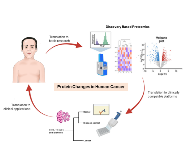 Cancer Proteomics and Biomarker Exploration - Chulabhorn Research Institute