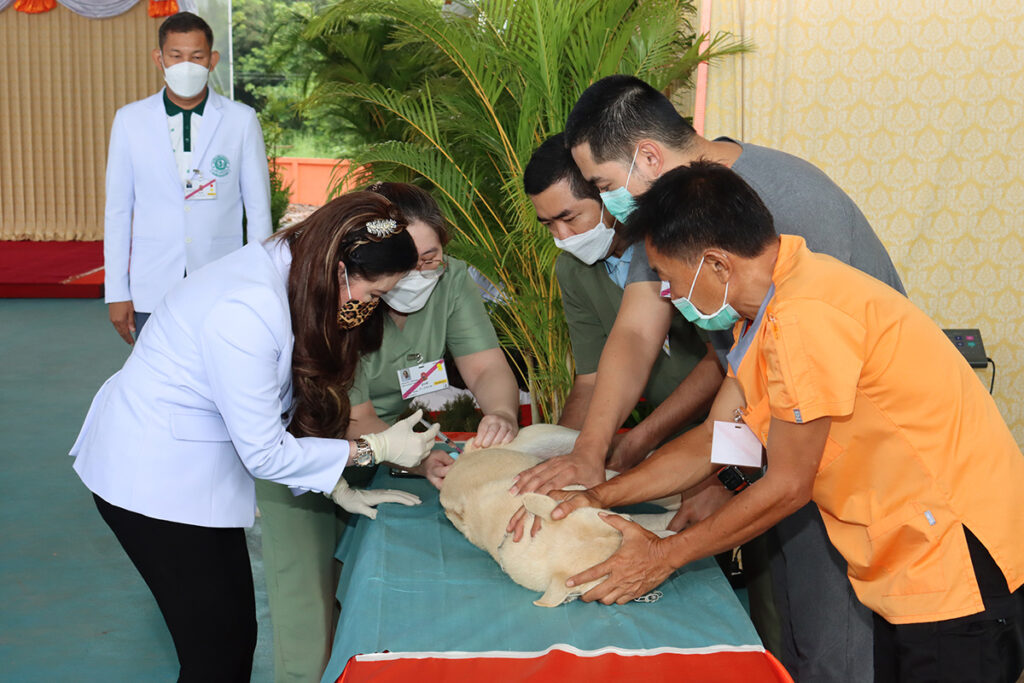 Professor Dr. Her Royal Highness Princess Chulabhorn Mahidol Performed ...
