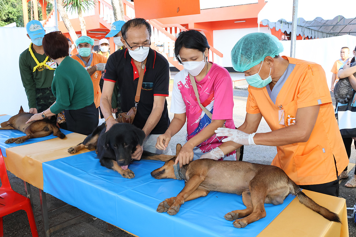 Professor Dr. Her Royal Highness Princess Chulabhorn Mahidol Performed ...