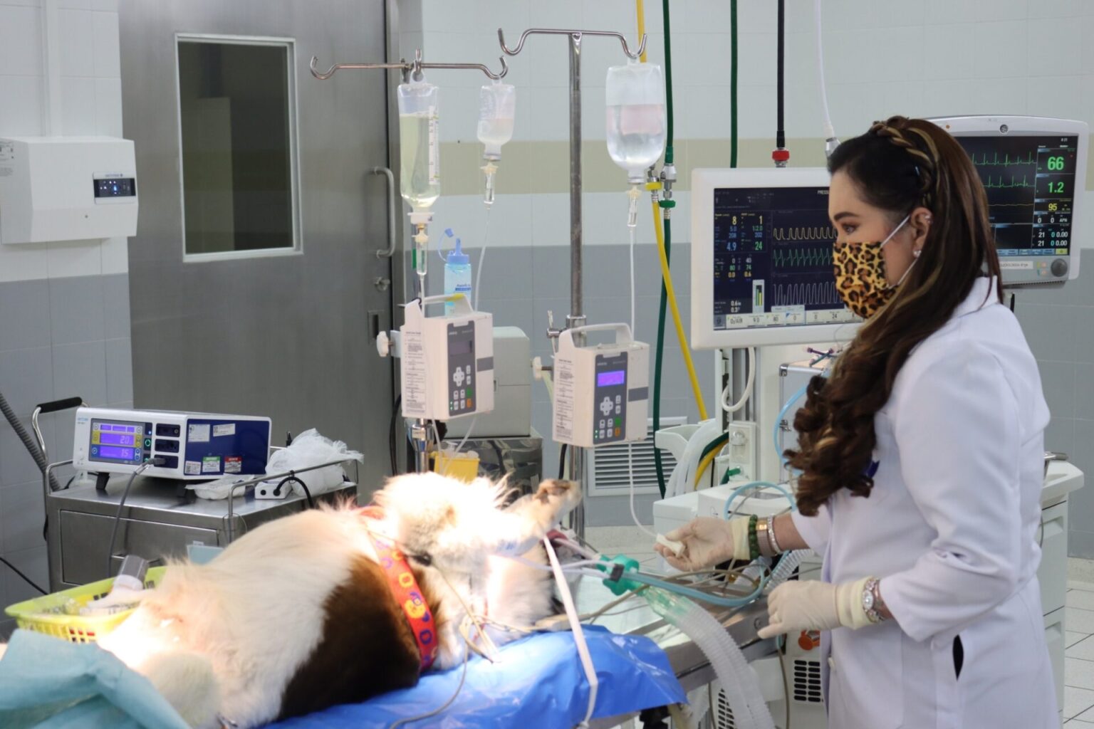 Professor Dr. Her Royal Highness Princess Chulabhorn Mahidol, President ...